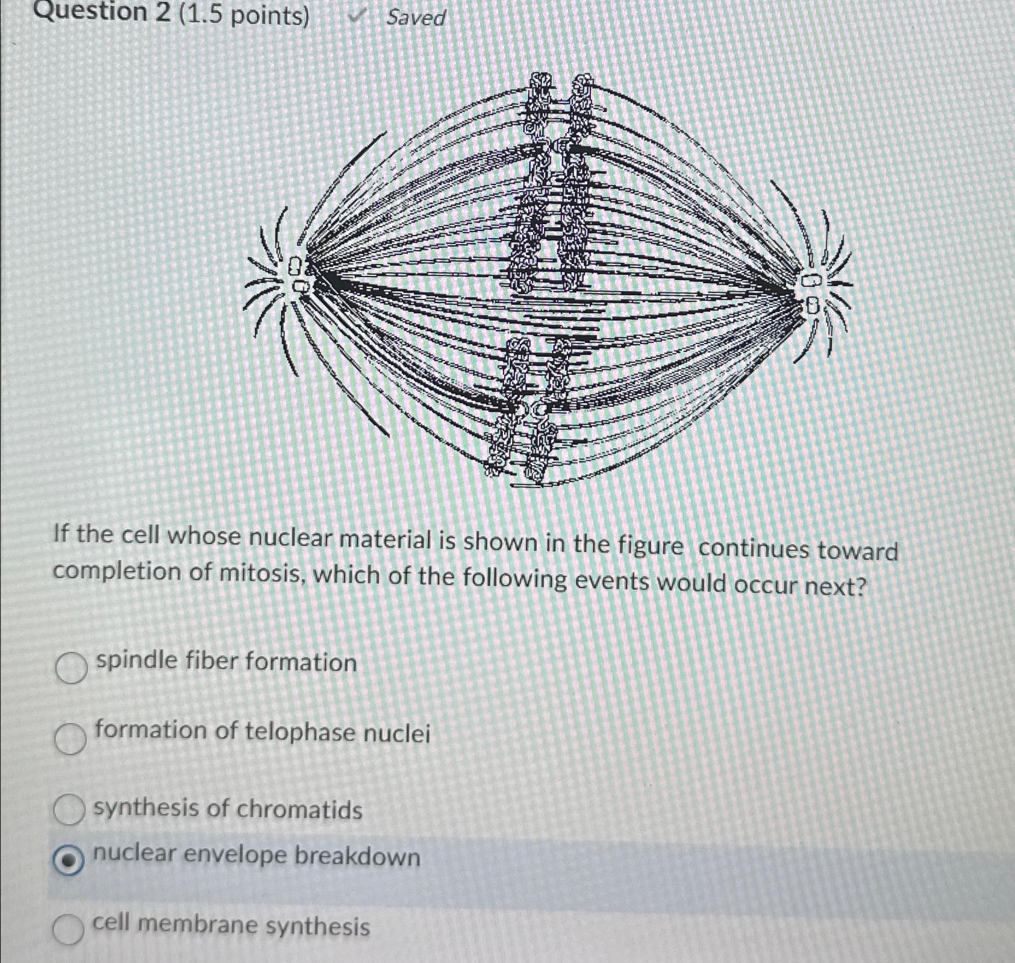 Solved Question 2 (1.5 points)SavedIf the cell whose | Chegg.com Solved Question 2 (1.5 points)SavedIf the cell whose | Chegg.com