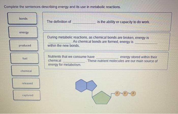 Solved Complete the sentences describing energy and its use | Chegg.com