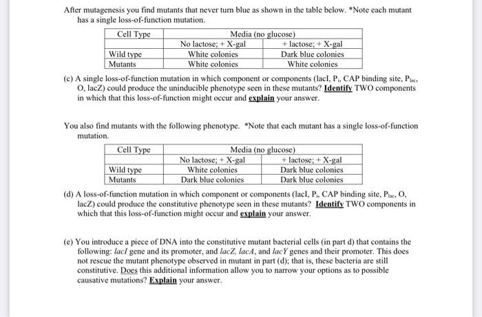 Solved After mutagenesis you find mutants that never tum | Chegg.com