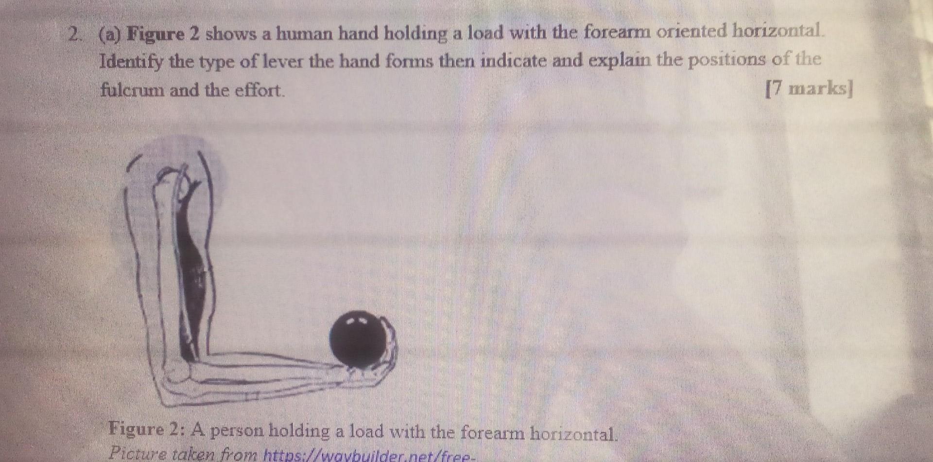 Solved 2. (a) Figure 2 shows a human hand holding a load | Chegg.com