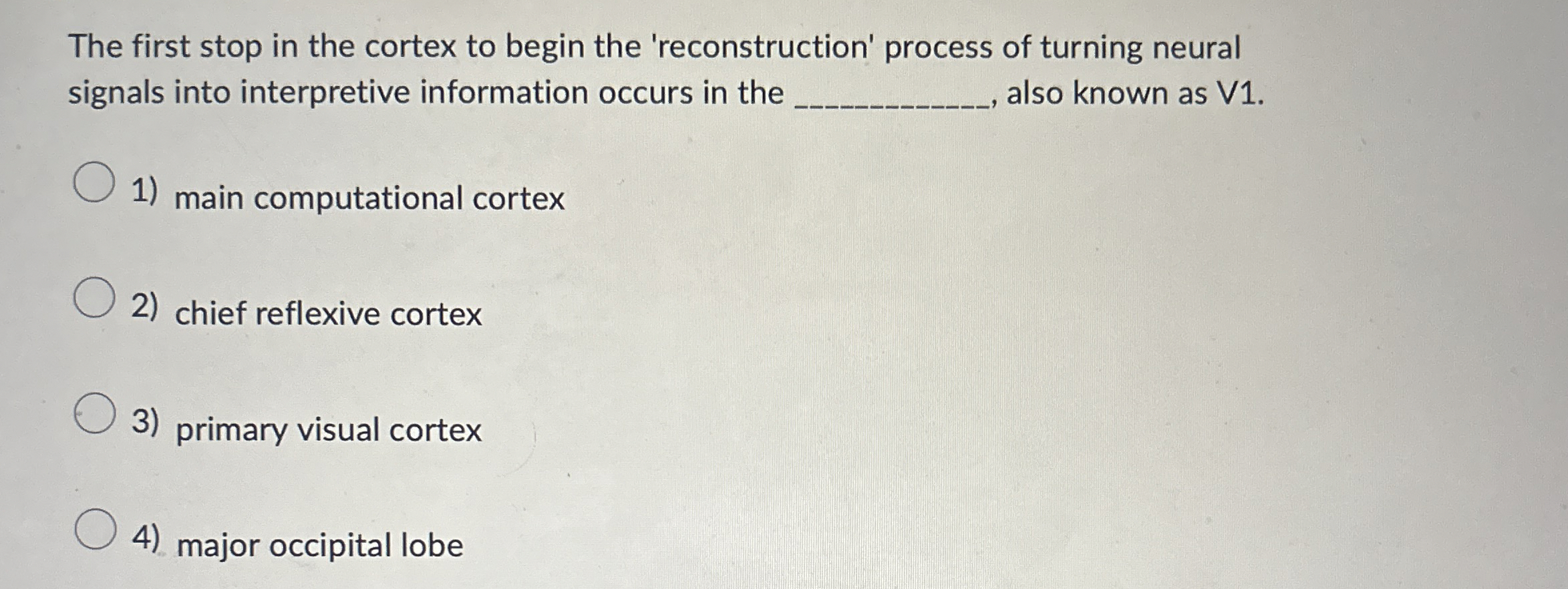 Solved The first stop in the cortex to begin the | Chegg.com