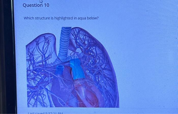 Solved hs Question 10 Which structure is highlighted in aqua | Chegg.com