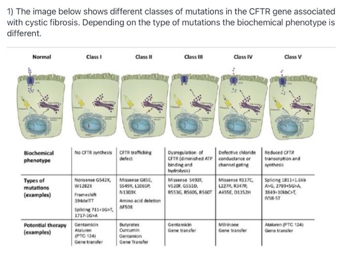 Solved 1) The image below shows different classes of | Chegg.com