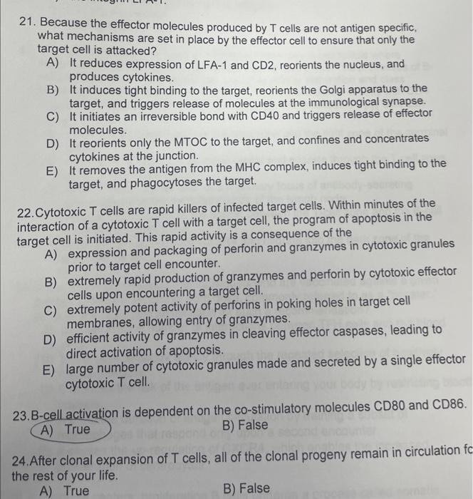 Solved 21. Because the effector molecules produced by T | Chegg.com