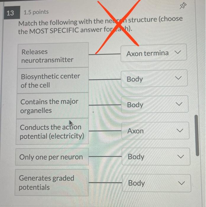 Solved Match the following with the nes 1 structure (choose | Chegg.com