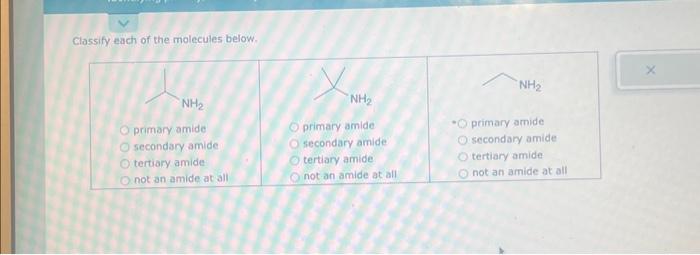 Solved Classify each of the molecules below. primary amide | Chegg.com