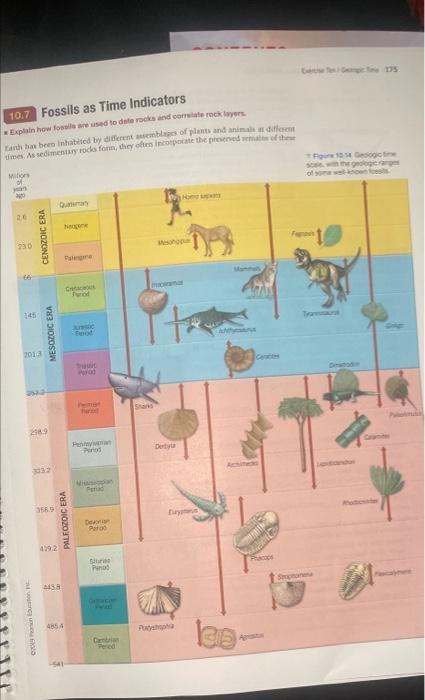 Solved 10.7 Fossils as Time Indicators Explain how fossils | Chegg.com