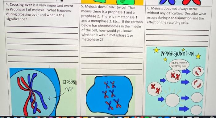 Solved 4. Crossing over is a very important event in | Chegg.com