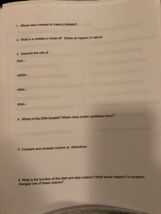 Solved Student Sheet Name Title: Making Sentences of DNA | Chegg.com