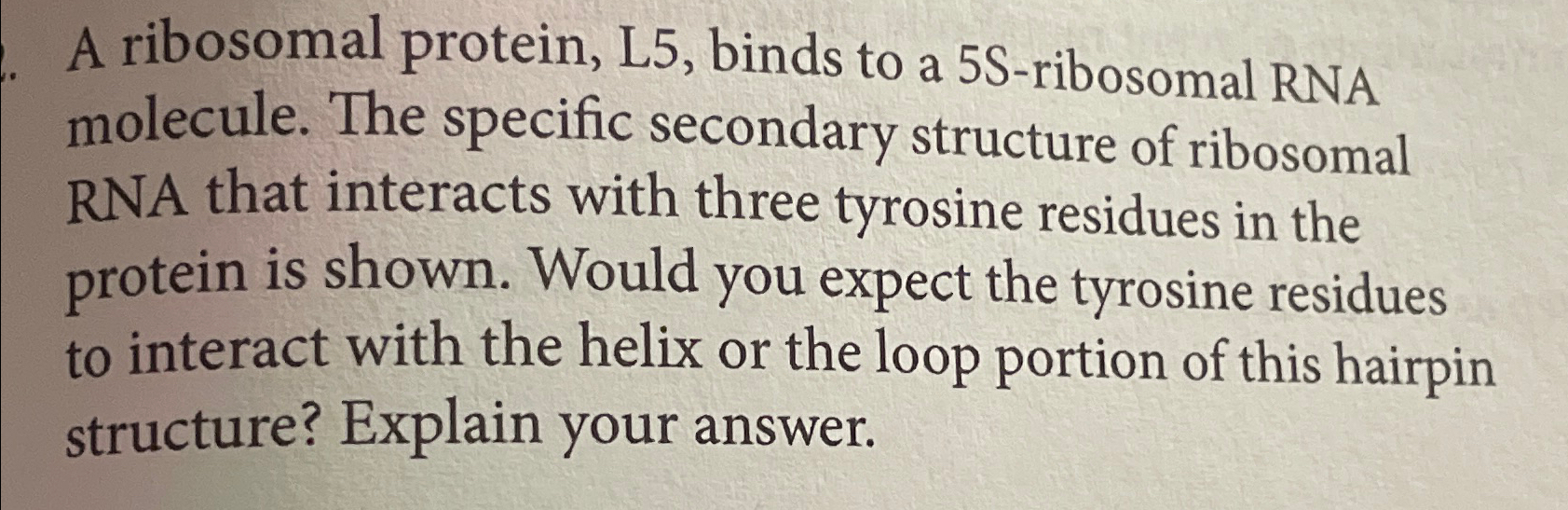 Solved A ribosomal protein, L5, ﻿binds to a 5S-ribosomal RNA | Chegg.com