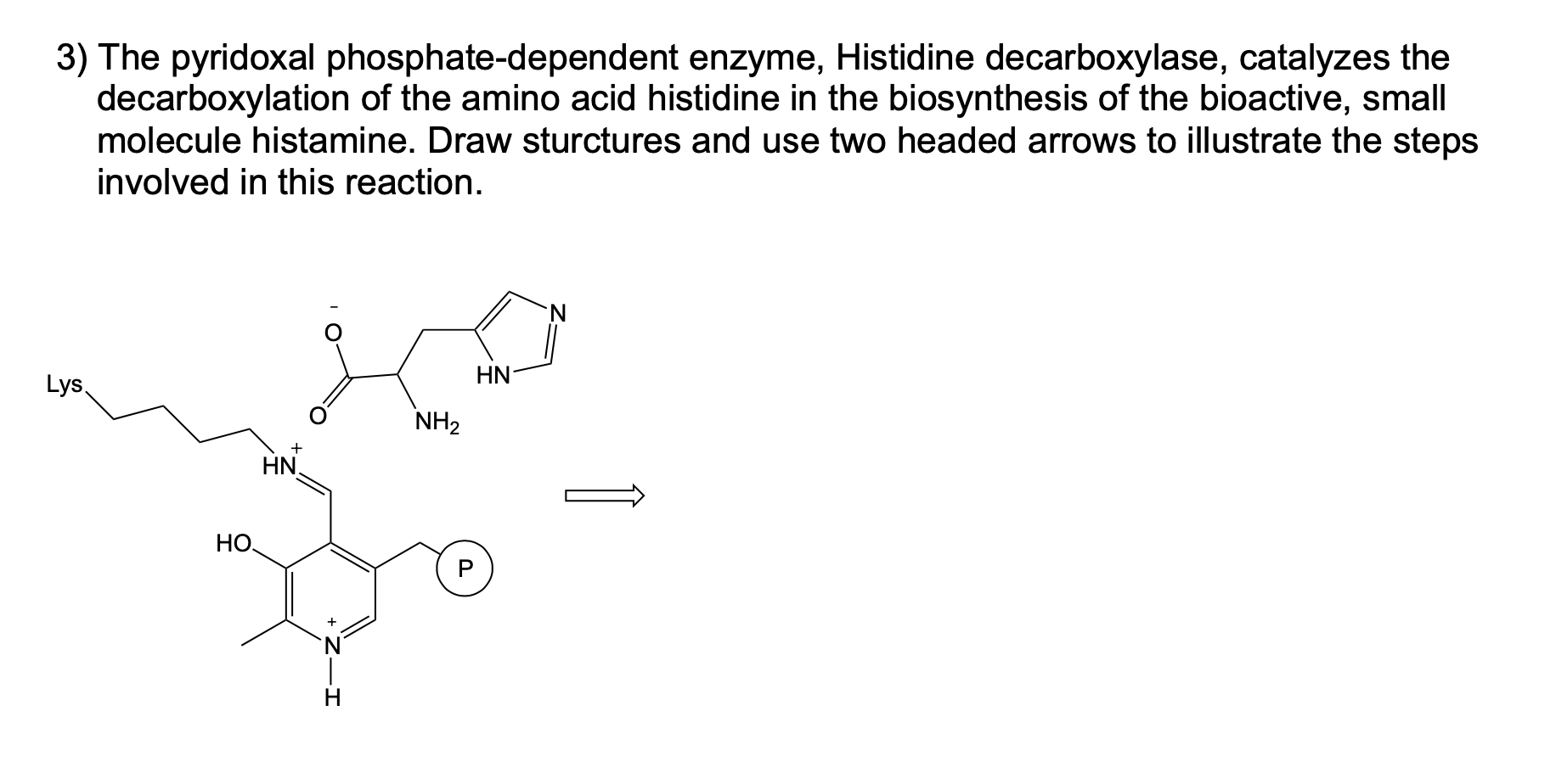 Solved The pyridoxal phosphate-dependent enzyme, Histidine | Chegg.com