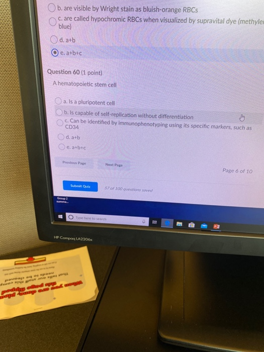 Solved b. are visible by Wright stain as bluish-orange RBCs | Chegg.com