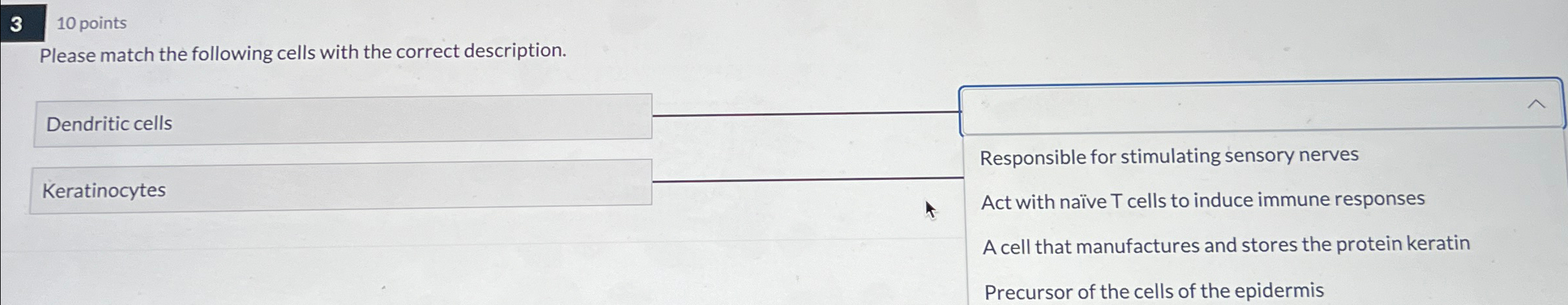 Solved 310 ﻿pointsPlease match the following cells with the | Chegg.com