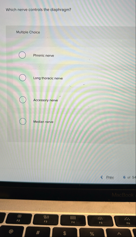 Solved Which nerve controls the diaphragm?Multiple | Chegg.com