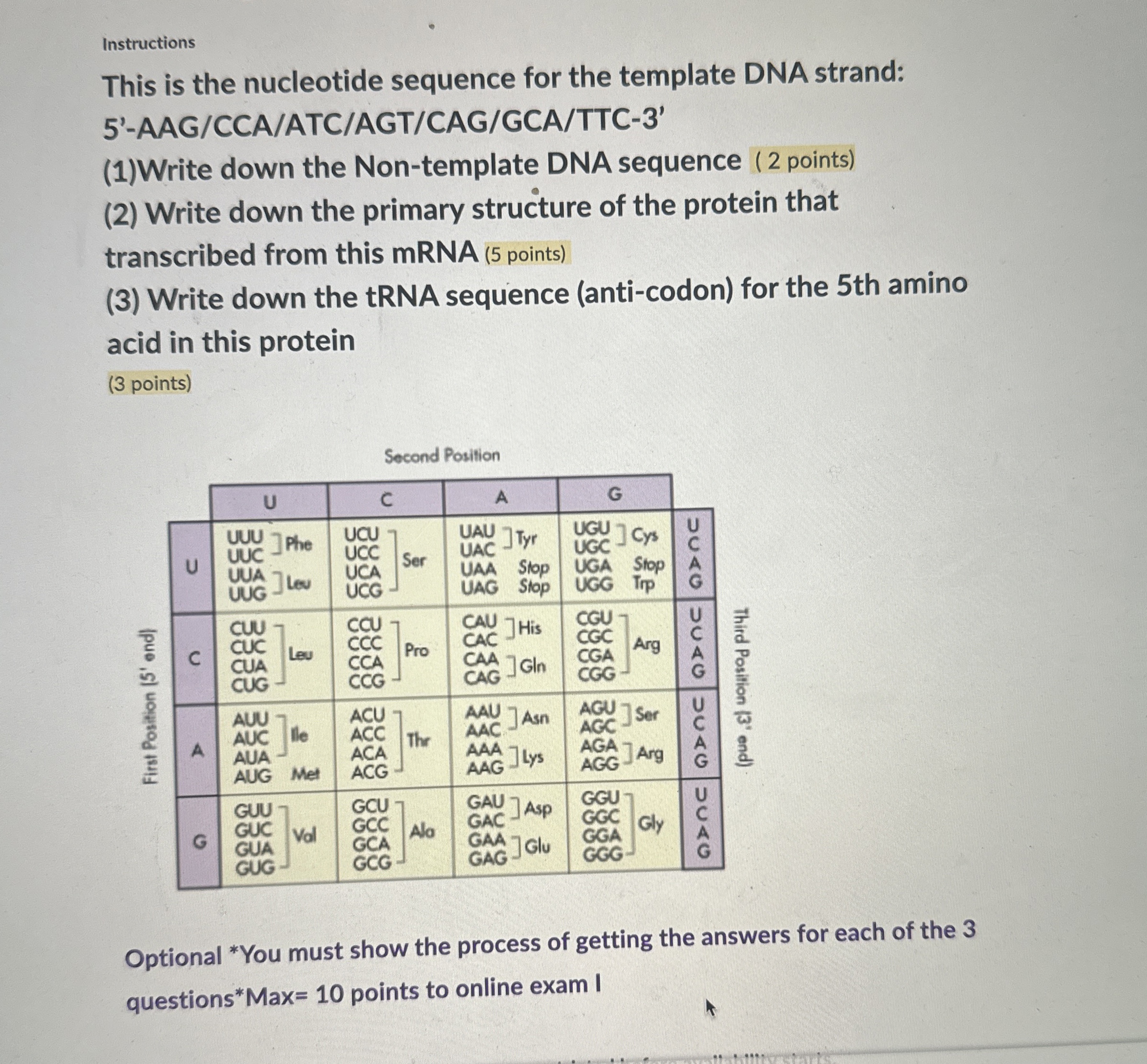 Solved InstructionsThis is the nucleotide sequence for the | Chegg.com