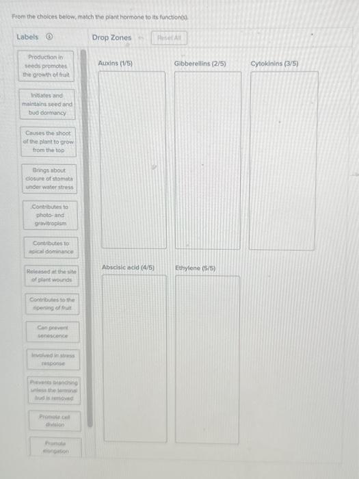 Classify the following characteristics to describe | Chegg.com