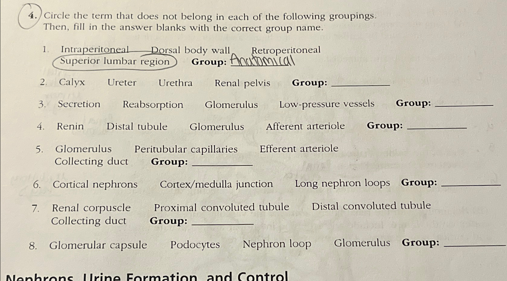 Solved Circle the term that does not belong in each of the | Chegg.com