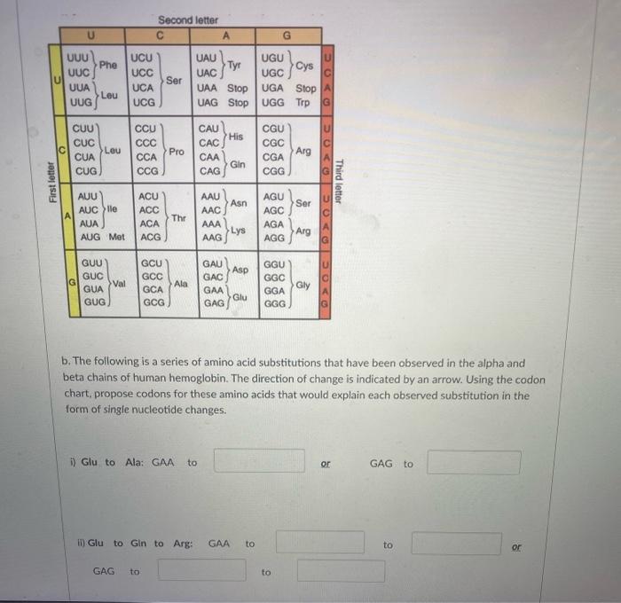 Solved Using the Genetic Codon Chart provided, answer the | Chegg.com
