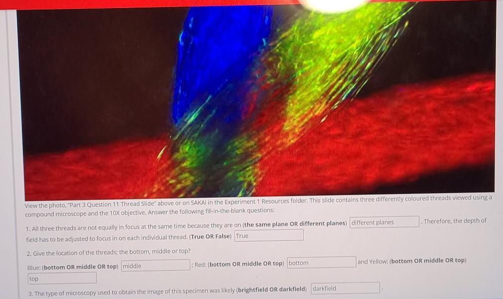 Solved View the photo, "Part 3 Question 11 Thread Slide" | Chegg.com