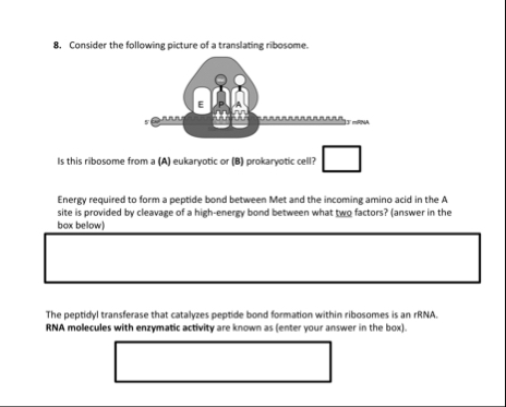 Solved Consider the following picture of a translating | Chegg.com