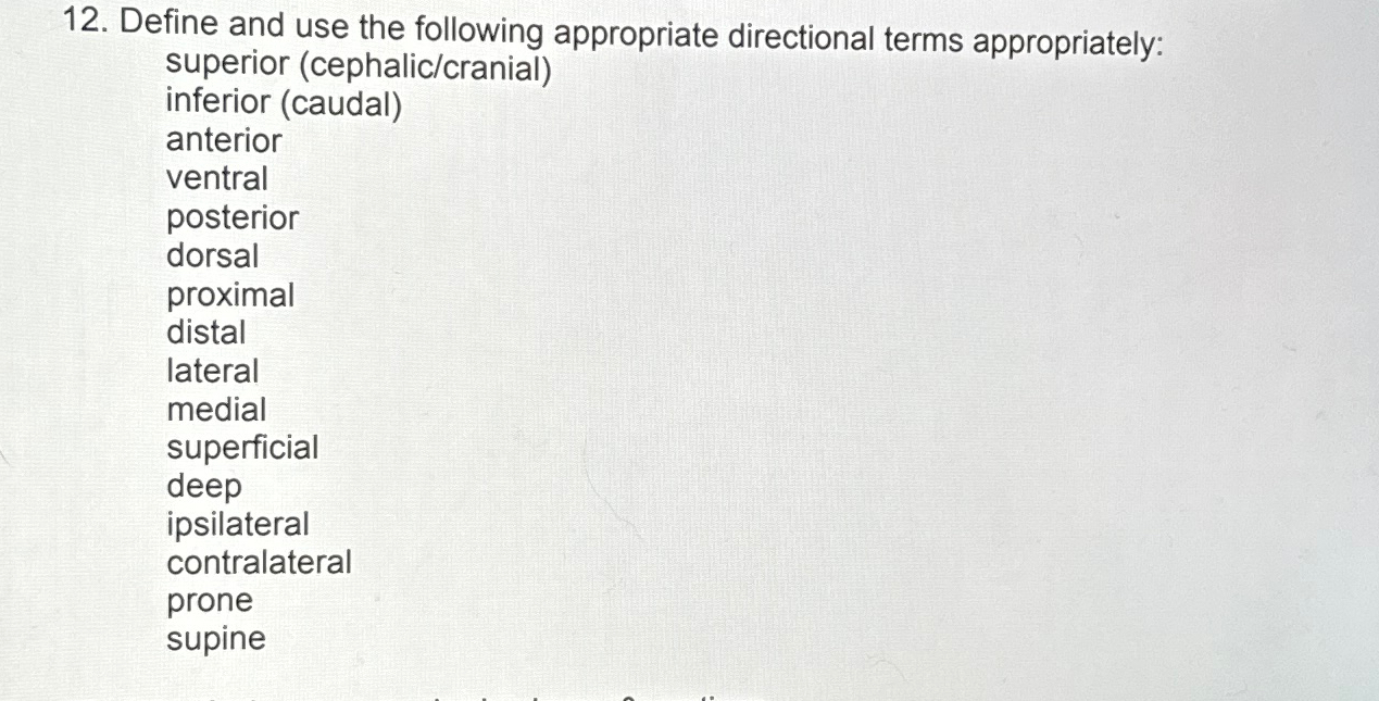 Solved Define and use the following appropriate directional | Chegg.com