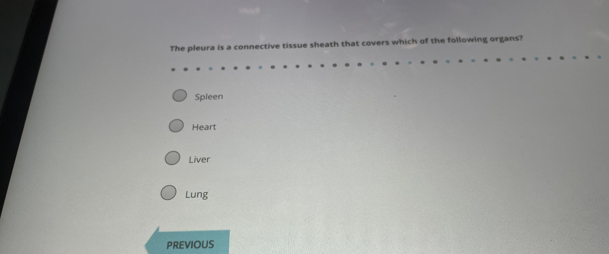 Solved The pleura is a connective tissue sheath that covers | Chegg.com
