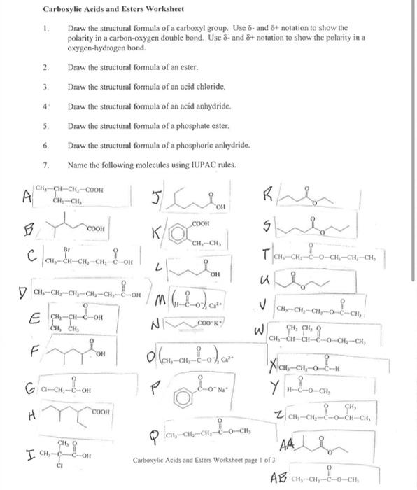 Solved Carboxylic Acids and Esters Worksheet 1. Draw the | Chegg.com