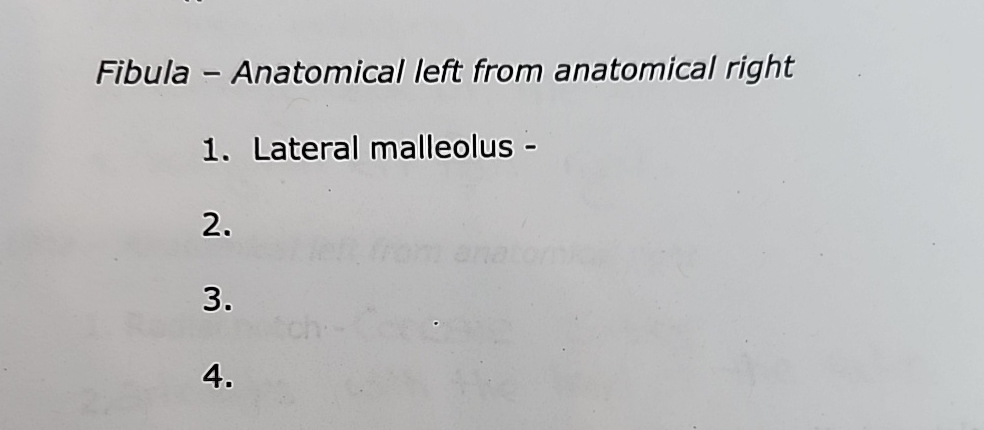 Solved Fibula - ﻿Anatomical left from anatomical | Chegg.com