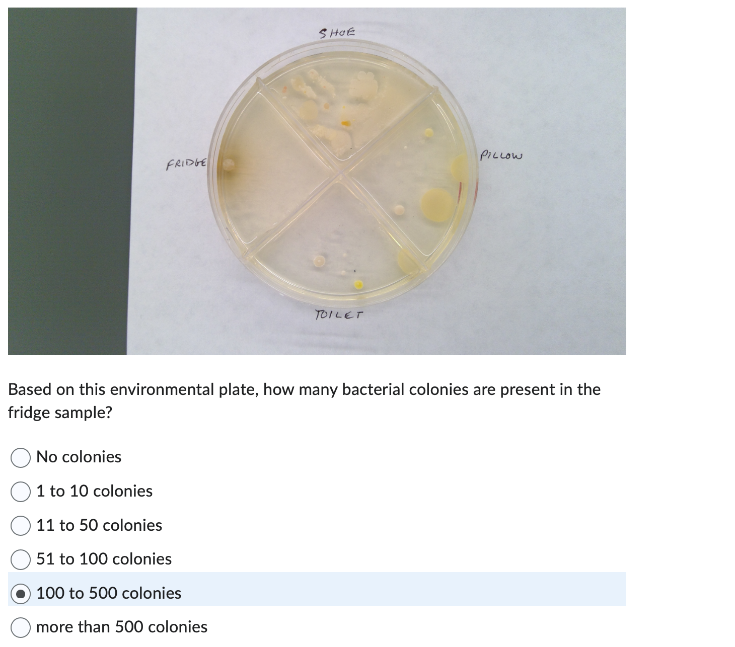 Solved Based on this environmental plate, how many bacterial | Chegg.com