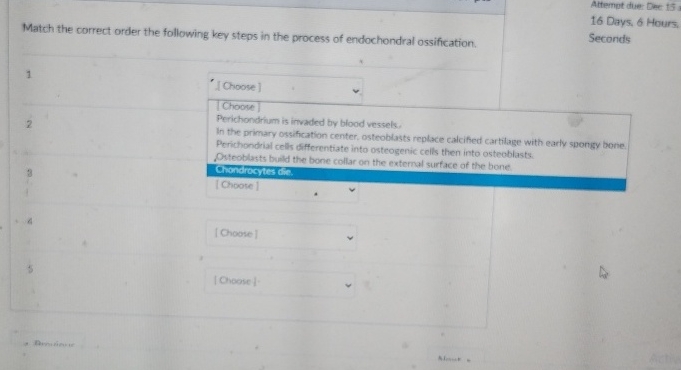 Solved Match the correct order the following key steps in | Chegg.com