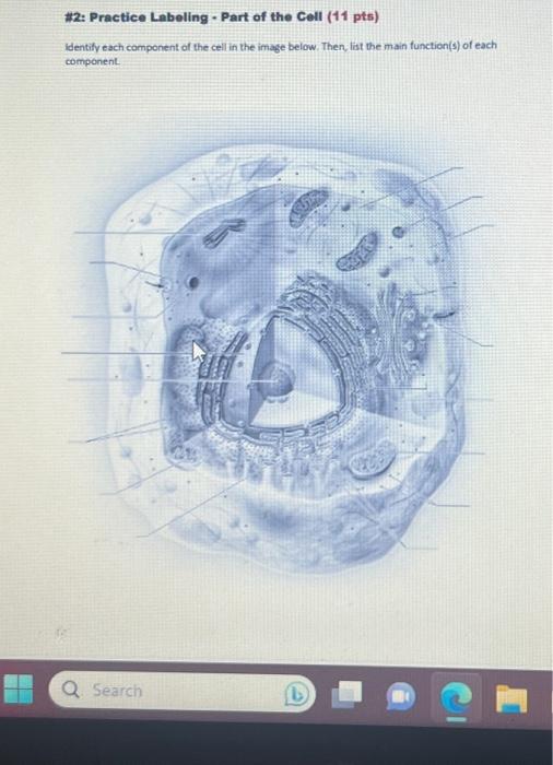 Solved # 2: Practice Labeling - Part of the Cell (11 pts) | Chegg.com