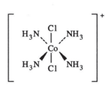 Solved [ubrace(H3(N)ubrace)H3N|ClCl,NH3]NH3+What is the | Chegg.com