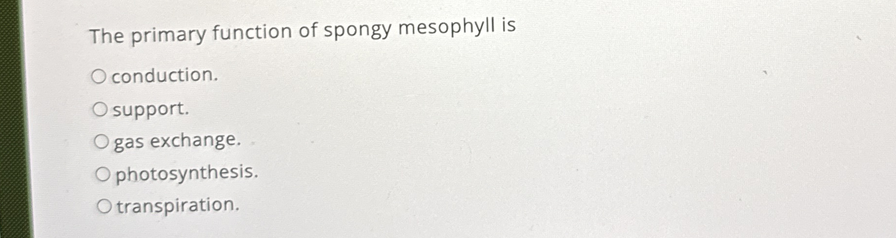 High Quality SOLUTION The primary function of spongy mesophyll | Chegg.com