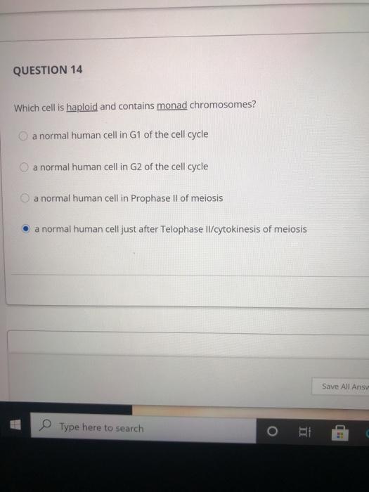 Solved QUESTION 14 Which cell is haploid and contains monad | Chegg.com