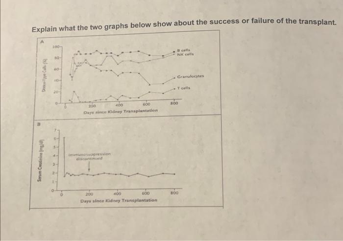 Solved Explain what the two graphs below show about the | Chegg.com