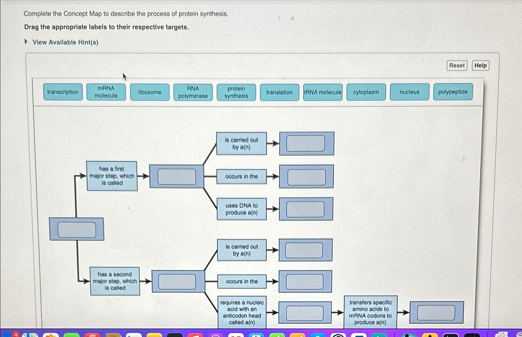 Solved Complete the Concept Map to describe the process of | Chegg.com