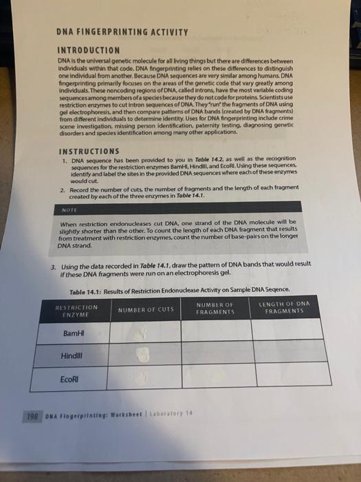 Solved DNA FINGERPRINTING ACTIVITY INTRODUCTION DNA is the | Chegg.com