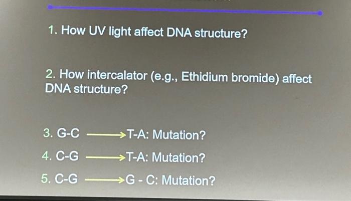 Solved 1. How UV light affect DNA structure? 2. How | Chegg.com