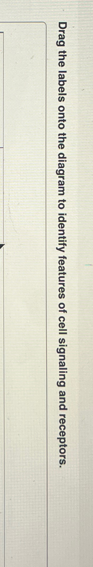 Solved Drag the labels onto the diagram to identify features | Chegg.com