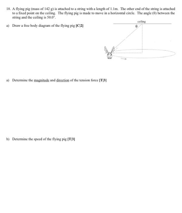 Solved 18. A flying pig (mass of 142 g) is attached to a | Chegg.com