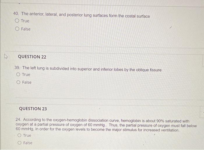 Solved 40 The Anterior Lateral And Posterior Lung