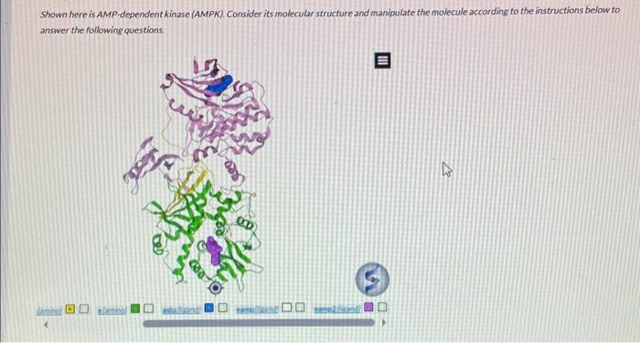 Solved Shown here is AMP-dependent kinase (AMPK). Consider | Chegg.com