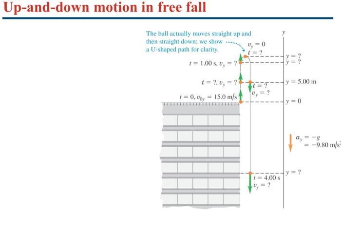 Solved Up-and-down motion in free fall The ball actually | Chegg.com