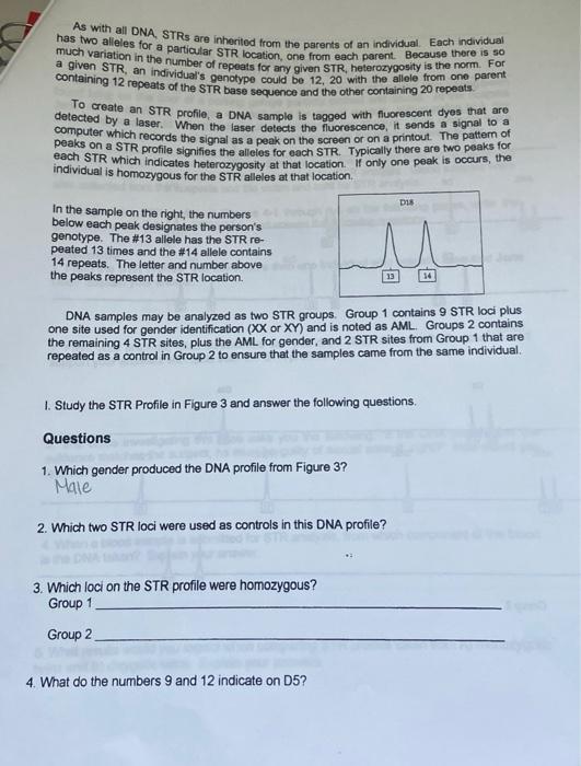 Solved Often the amount of available DNA is insufficient for | Chegg.com