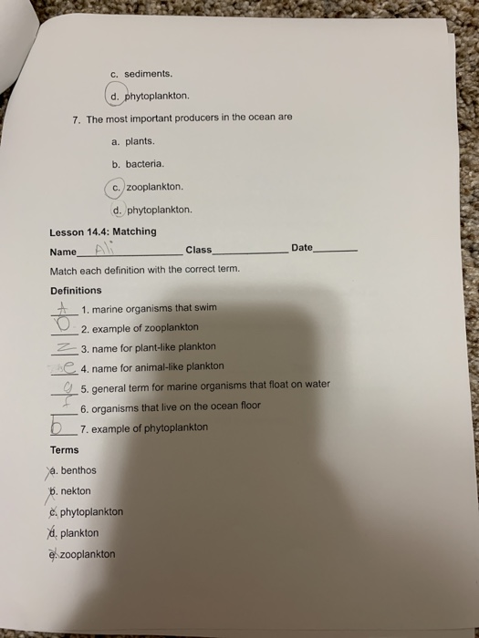 Solved Wednesday 14.4: Ocean Life Lesson 14.4: True or False | Chegg.com