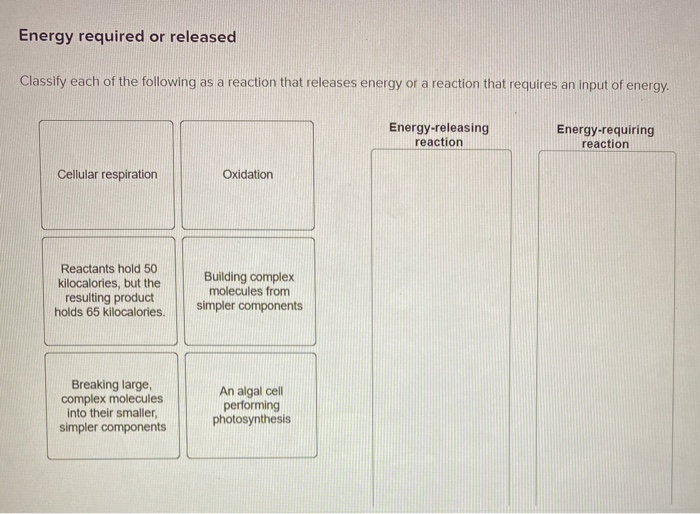 Solved Energy Required Or Released Classify Each Of The Chegg solved-energy-required-or-released-classify-each-of-the-chegg