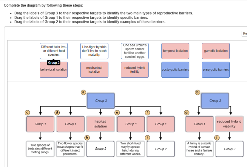 Solved Complete the diagram by following these steps:Drag | Chegg.com