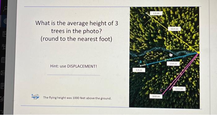 What is the average height of 3 trees in the photo? | Chegg.com