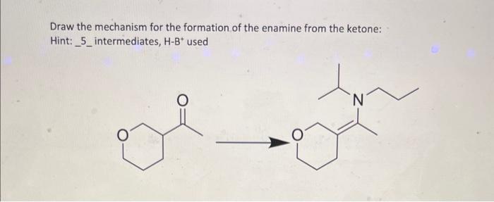 Solved Draw the mechanism for the formation of the enamine | Chegg.com