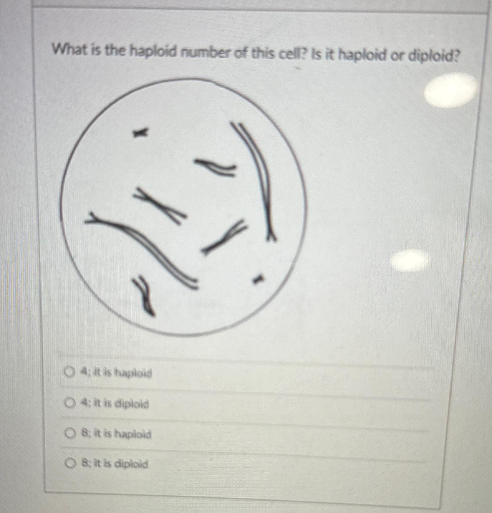 Solved What is the haploid number of this cell? Is it | Chegg.com